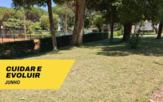 CIF: Ténis, Futebol, Padel no Clube Internacional de Foot-Ball.
